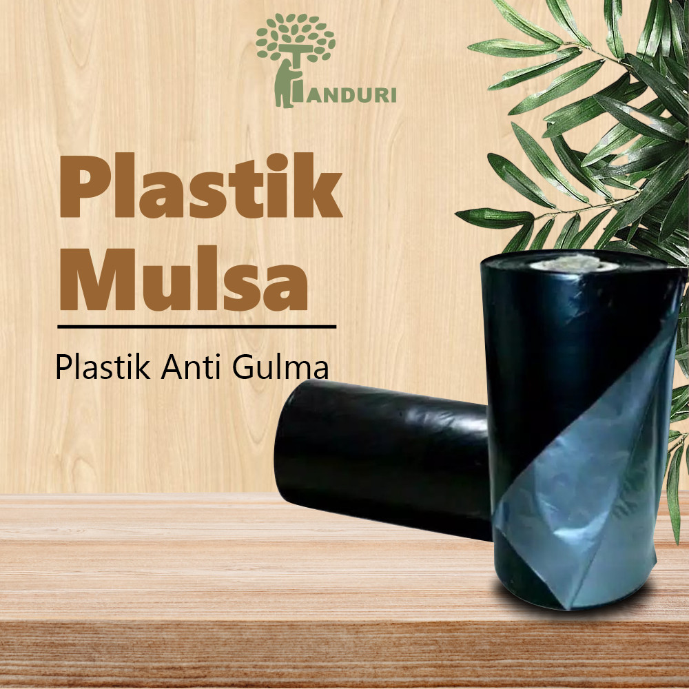 Jual Mulsa Plastik Hitam Perak (MPHP) Pencegahan Kutu Daun | Shopee ...