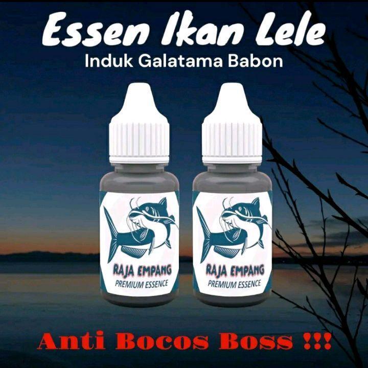 Jual Raja Empang Essen Ikan Lele 15mili Induk Galatama Babon Premium ...