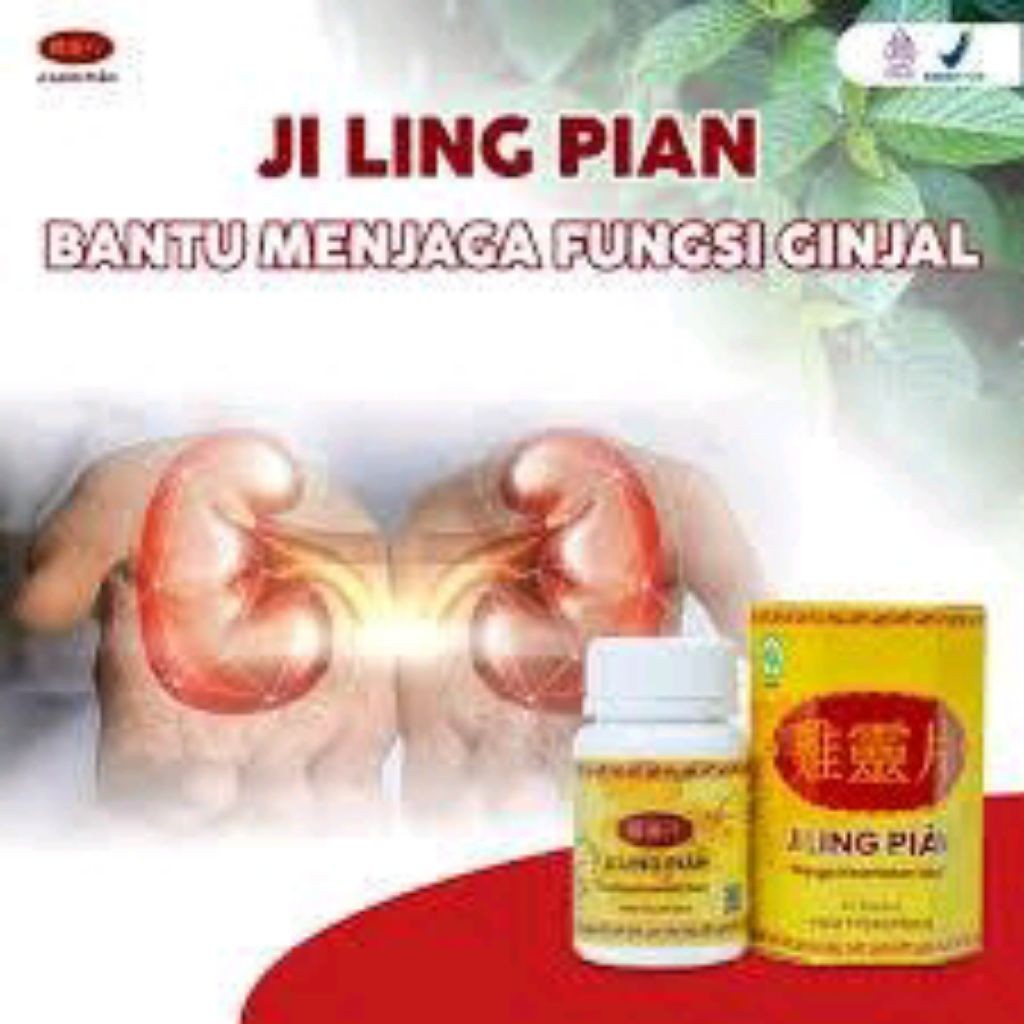 Jual Ji Ling Pian Original Obat Batu Ginjal Dan Mengatasi Infeksi ...