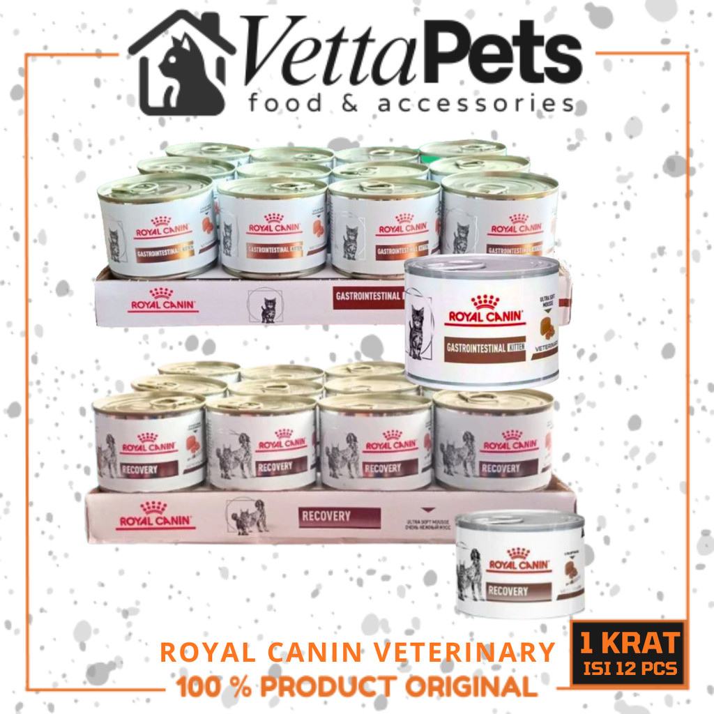 Jual Royal Canin Vet Recovery / Gastrointestinal Kitten Canned 12x195gr ...