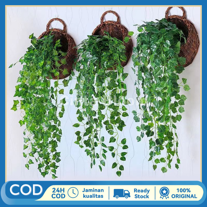 Jual Sulur Daun Palsudan Plastik Awet - Srigading, Semangka, Ivy ...