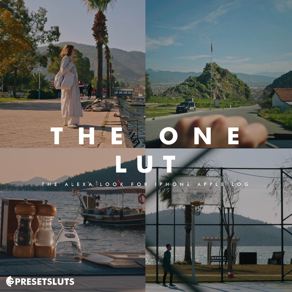 Jual The One LUT for iPhone 15 Pro/Pro Max Apple Log | Shopee Indonesia