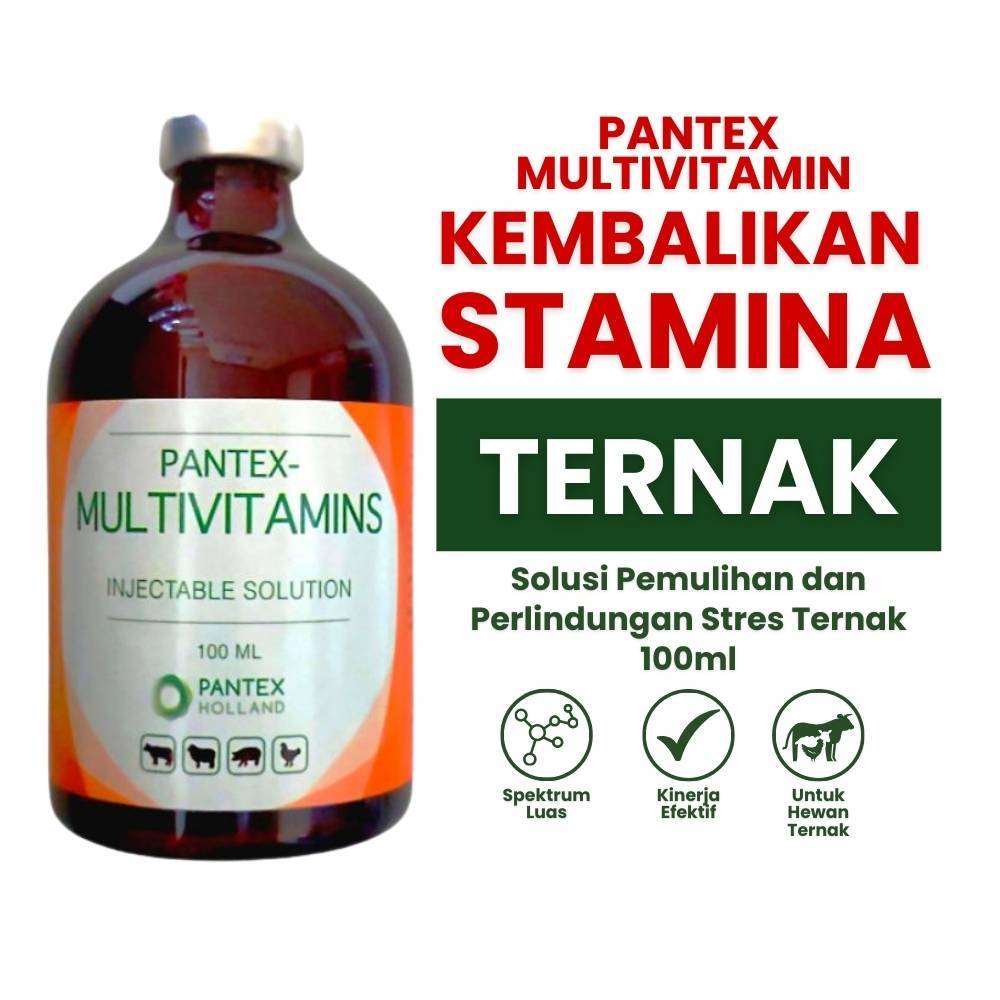 Jual Pantex Multivitamin 100 ml - Multivitamin - Injeksi vitamin ...