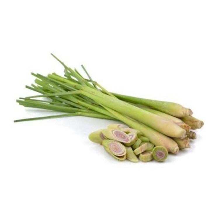 Jual farm shop - Sereh Serai Segar / Bumbu / Hijau 1kg ready stok ...