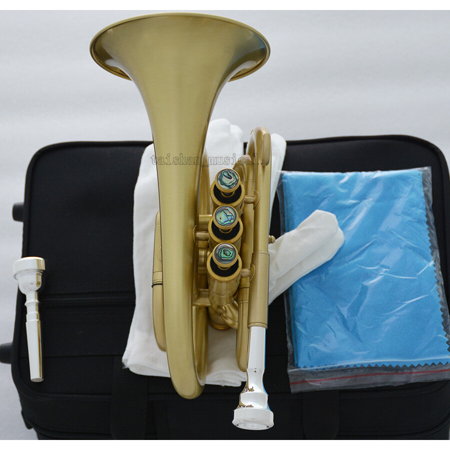 Jual Matt Brass Bb Pocket trumpet horn Large Bell Abalone Key 2 ...