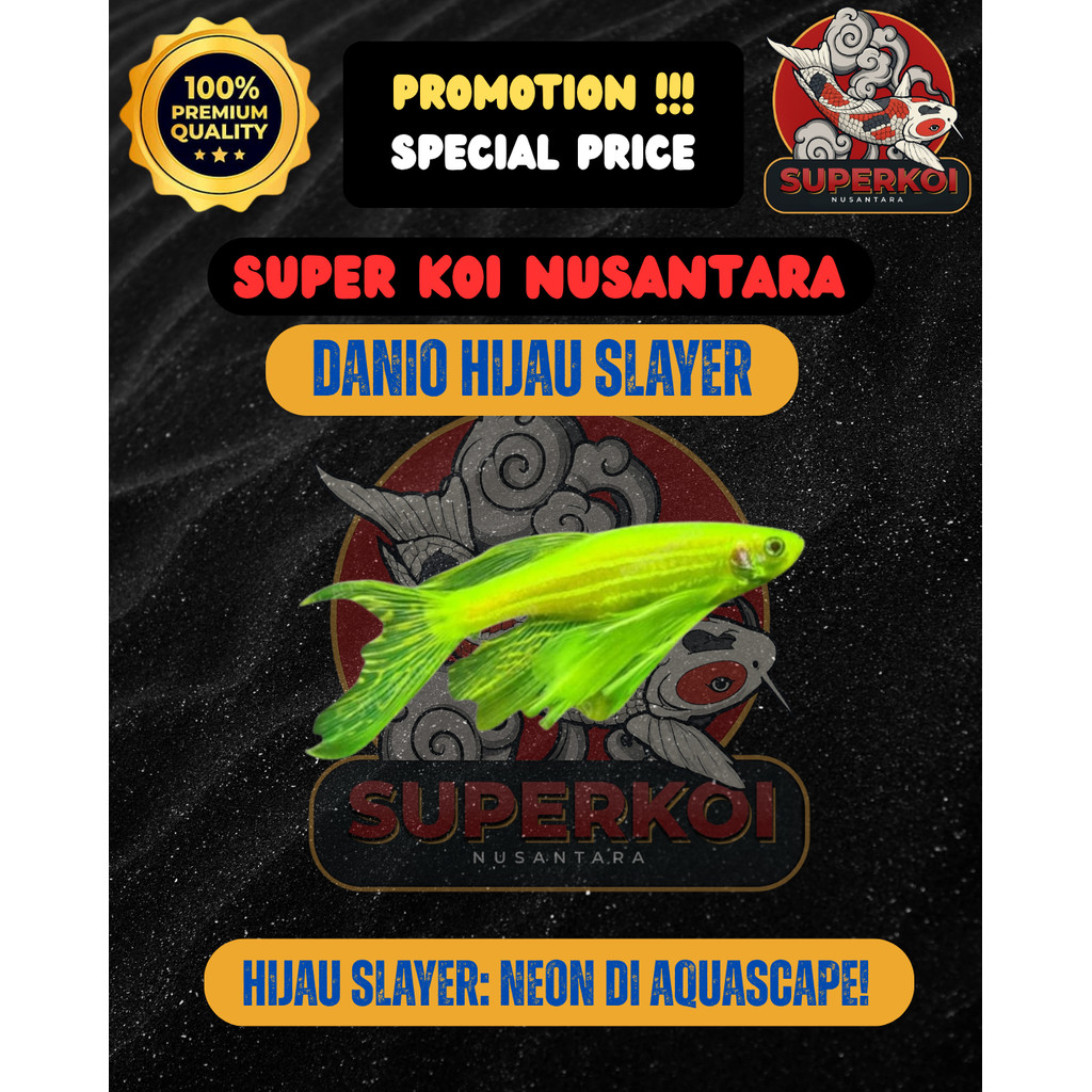 Jual IKAN HIAS DANIO SLAYER MIX BERBAGAI WARNA DANIO HIJAU , DANIO PINK ...