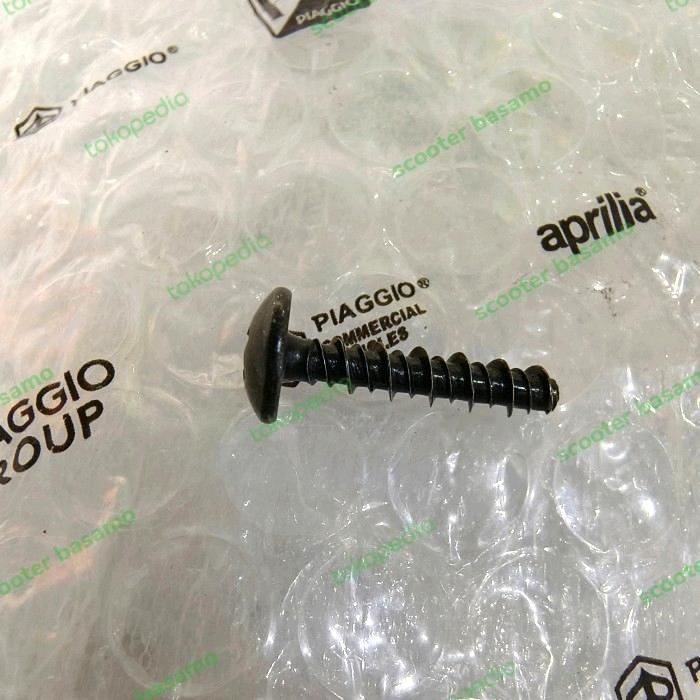 Jual Self Tapping Screw 3X20 SAW27 | Shopee Indonesia