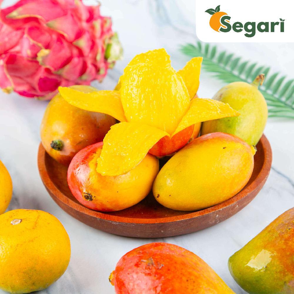 Jual Mangga Pisang Segari ( 0.8 - 1 kg / pack) | Shopee Indonesia