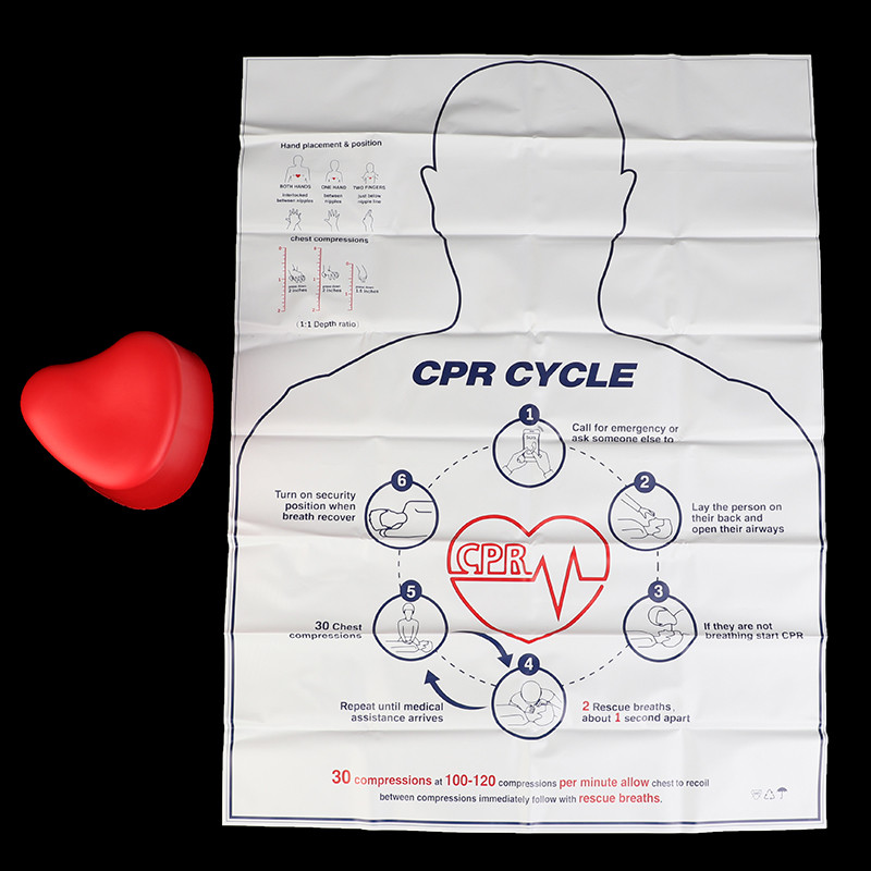 Jual Mini Heart-Shaped First Aid Training Rescue Teaching Tool Body ...