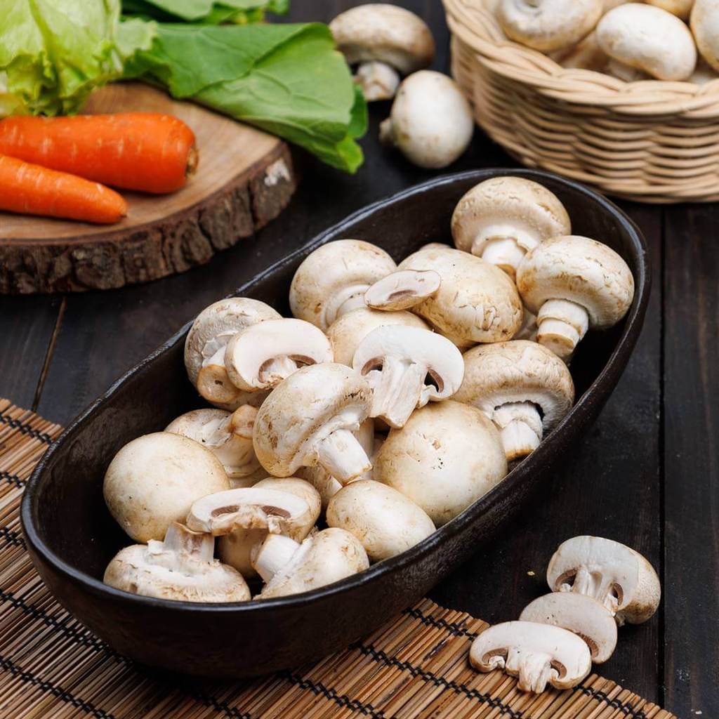 Jual Jamur Champignon (250 gram / pack) | Shopee Indonesia