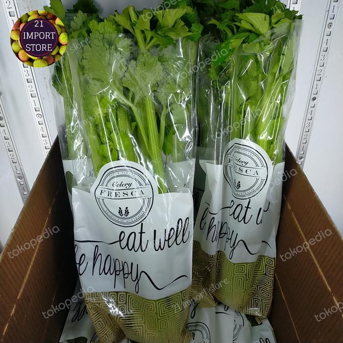 Jual celery stick Australia | Seledri Aussie Import | 1,1 kg | Shopee ...