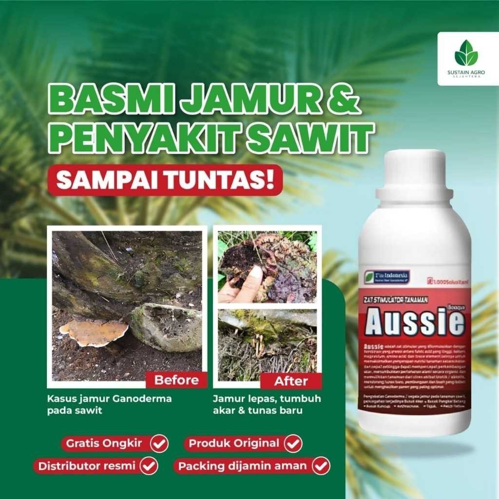 Jual Stock Terbatas- SALE AUSSIE Nutrisi Obat Sawit 500ml | Obat ...