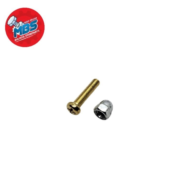 Jual AMS BAUT M4X20 NAUT TITANIUM BAJA HITAM GOLD DAN MUR TOPI M4 ORIGINAL BAUT BATOK LAMPU ...