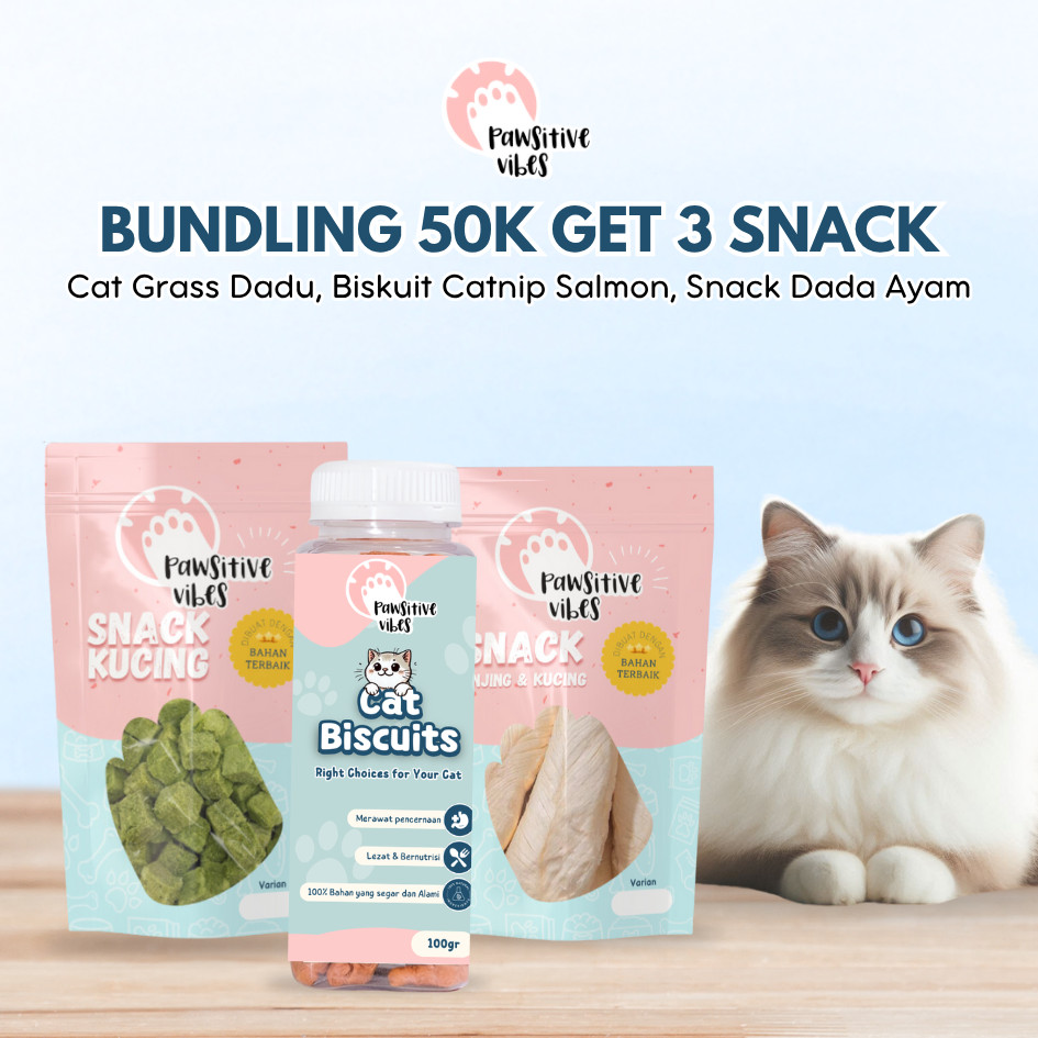 Jual Pawsitive Vibes Paket Snack Kucing 50k Sehat Dan Bergizi 11-11 ...