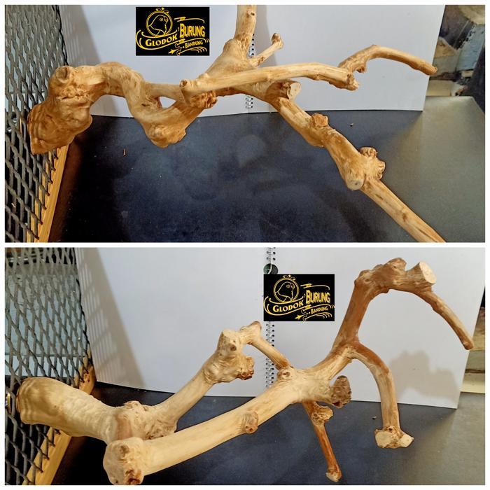 Jual [BOBBY PET] Tangkringan Bercabang Pangkringan Tenggeran Kayu kopi ...