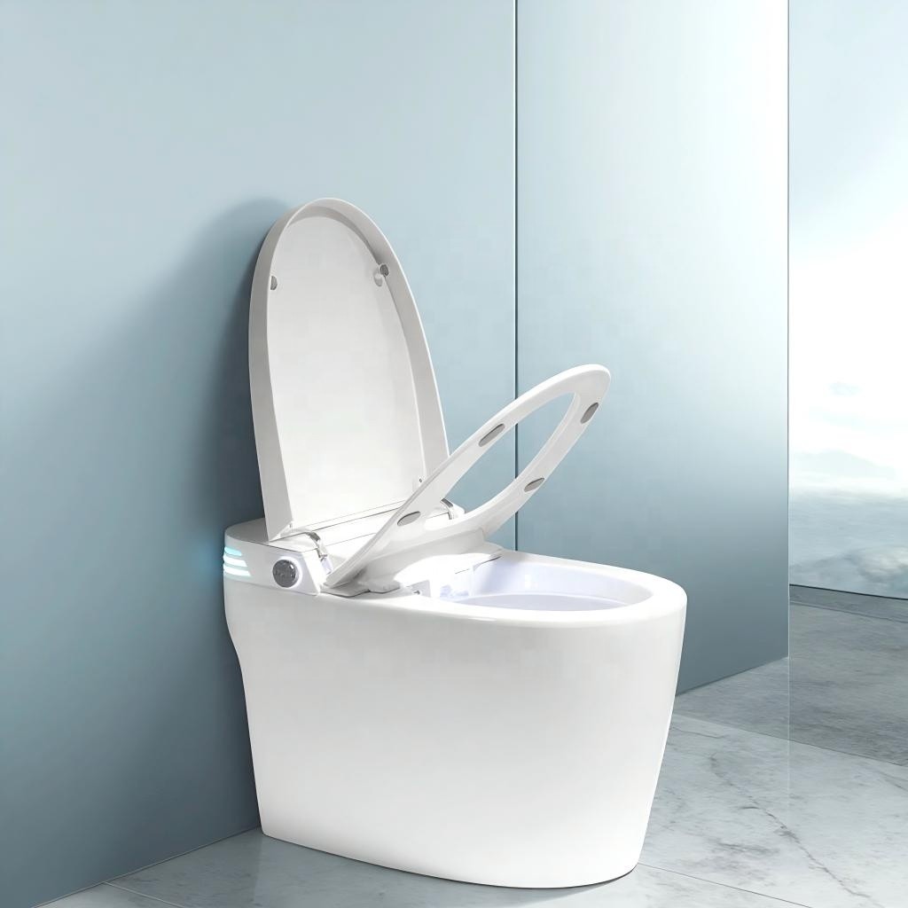 Jual White Electric Ceramic Automatic Bidet Toilet Bowl WC Toilette ...
