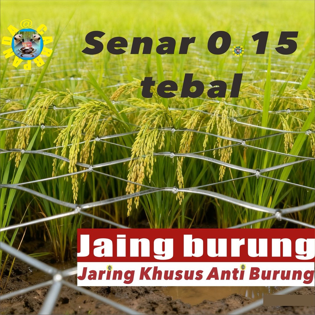 Jual jaring padi sawah senar 0.15 / jaring burung pipit dan eprit ...