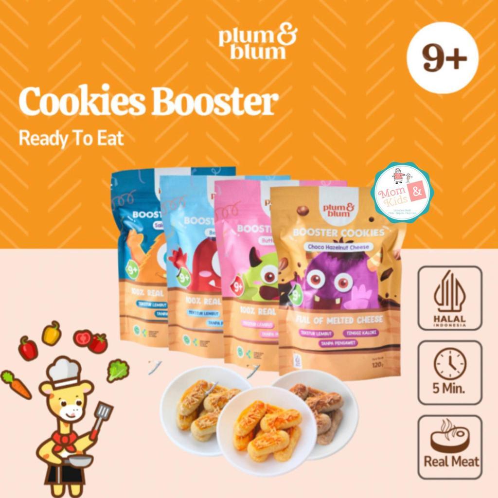 Jual Plum & Blum Baby Cookies BB Booster Snack Bayi 120gr - Biskuit ...