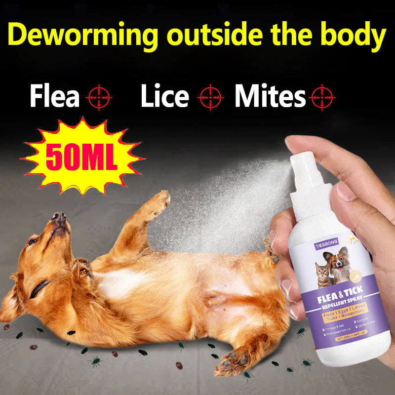 Jual Antifungal Skin Spray for Dogs and Cats 50ml Ringworm Itch ...