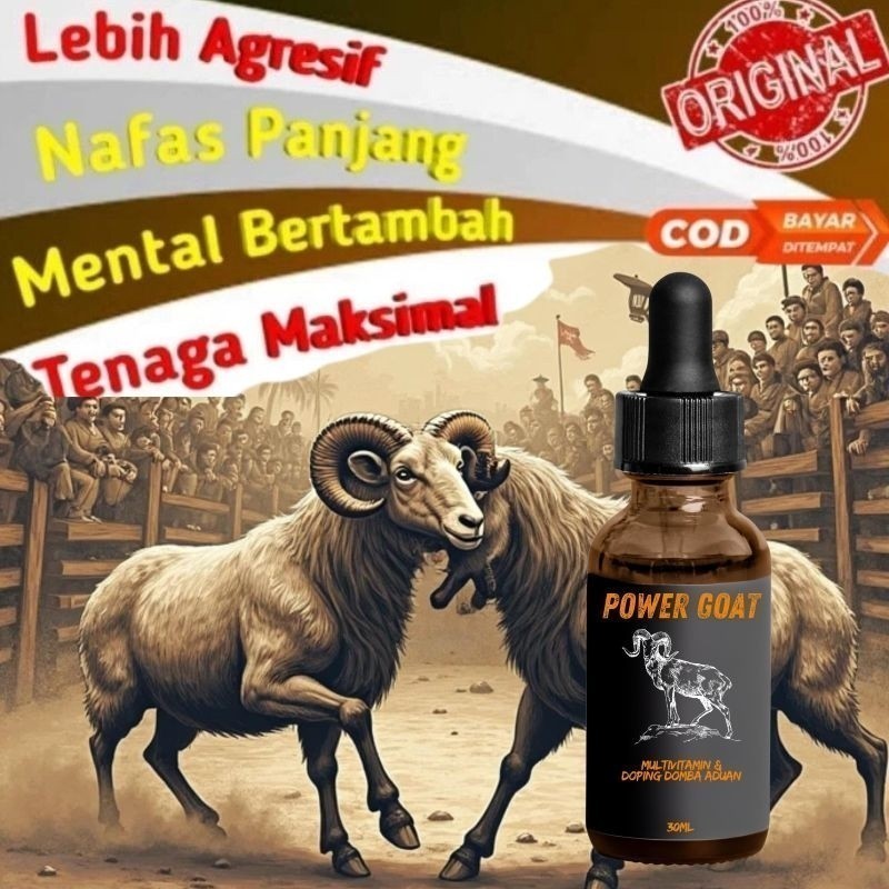 Jual Sibabad - POWER GOAT DOMBA/KUDA - Obat Doping Domba Adu Domba ...