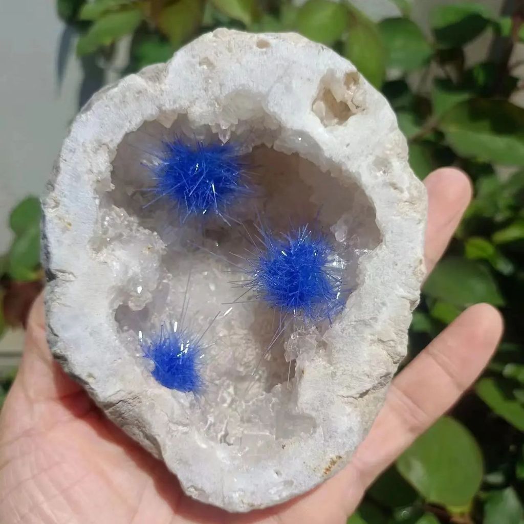Jual Natural Sphalerite and Symbiotic Blue Cluster, Quartz Crystal ...