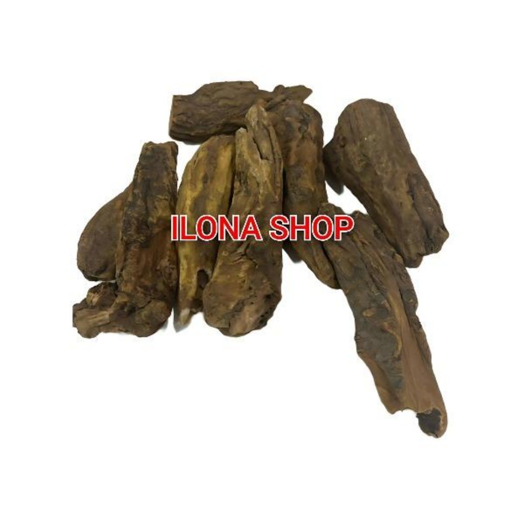 Jual Herbal Kelembak Kering 500 Gram / Akar Kayu Batang Klembak Import ...