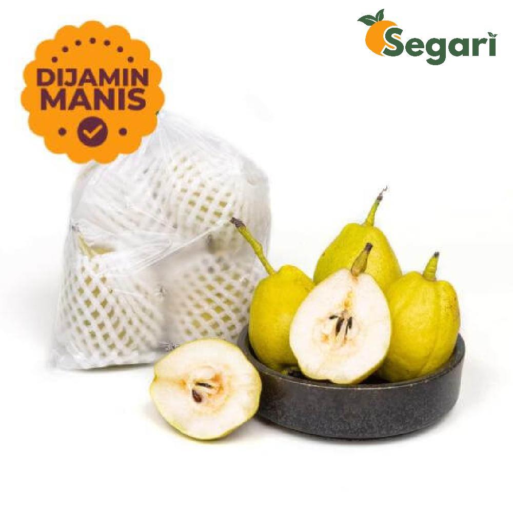 Jual Pear Xiang Lie (550 - 650 gram / pack) | Shopee Indonesia
