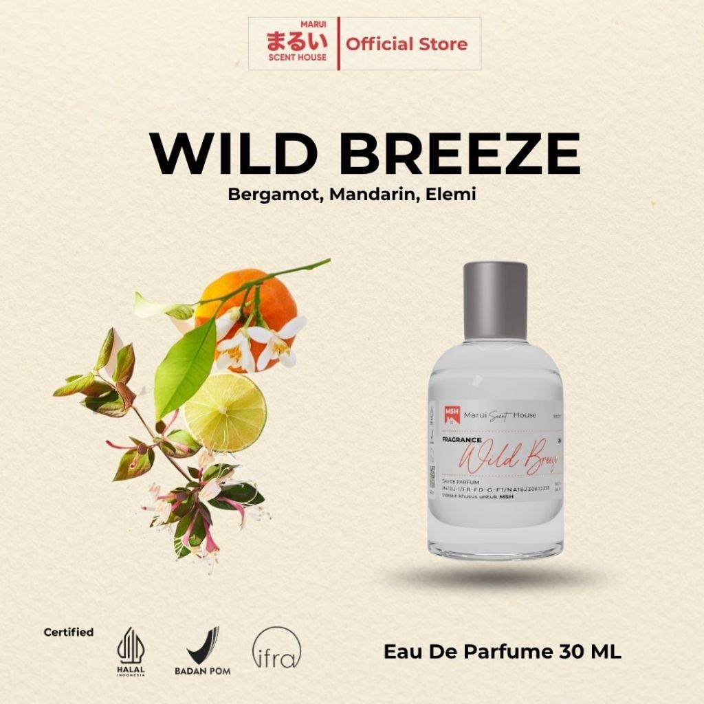 Jual Marui Scent House - Wild Breeze Parfume Pria Wangi Tahan Lama Eau ...