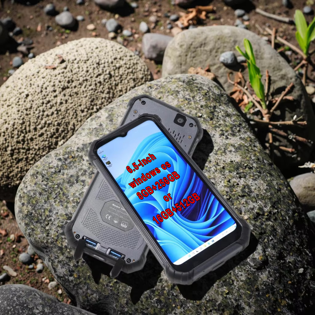 Jual Intel N100 Windows Handheld PDA 65 Inch Terminal 8G RAM 256G ROM ...