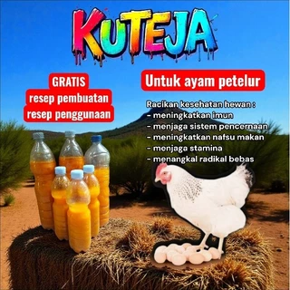 Produk kuteja.original | Shopee Indonesia