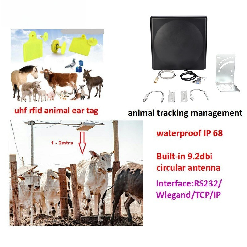 Jual long range high sensitivity uhf rfid reader used in animal cow ...