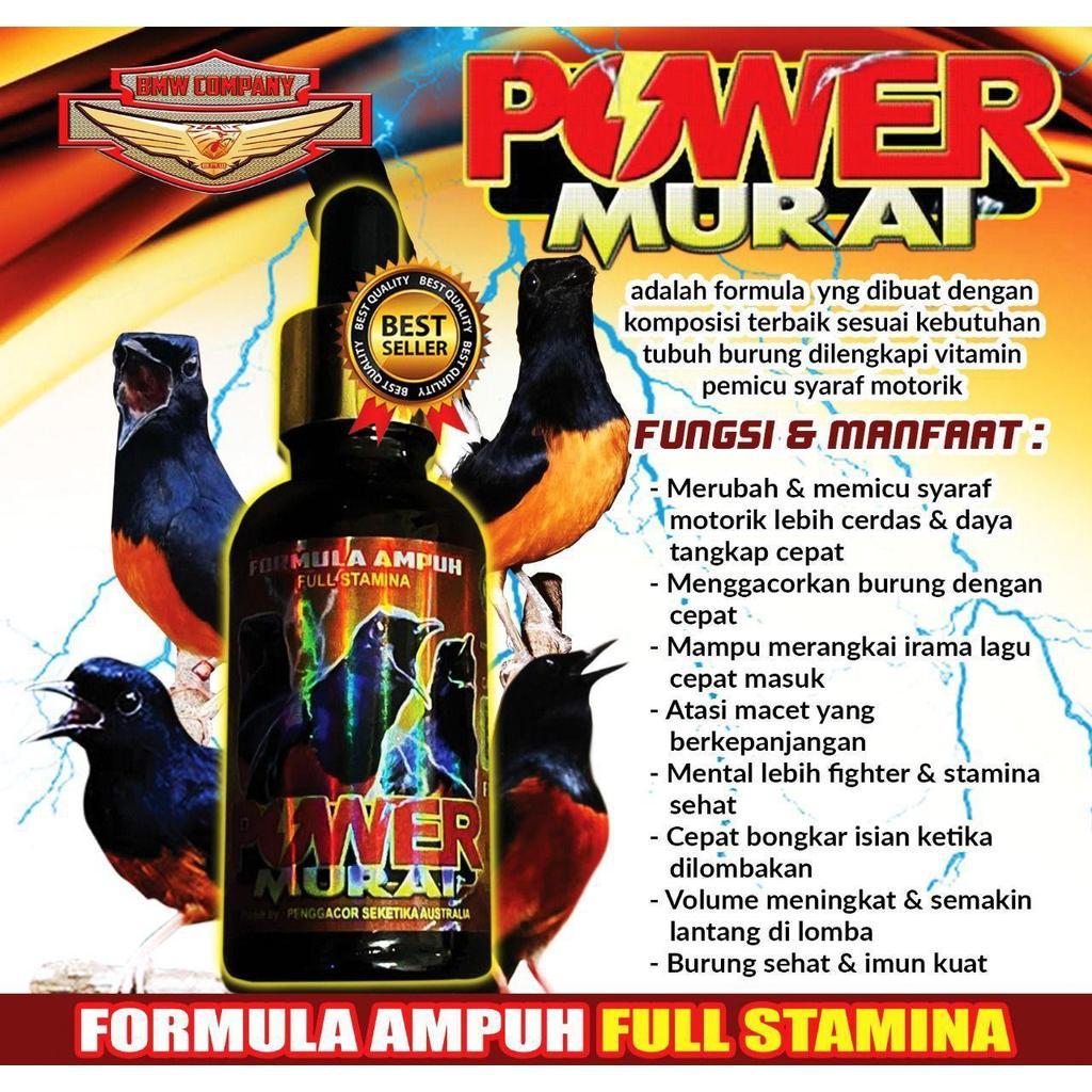 Jual PAKET HEMAT Voer Formula Lomba 80gr dan Power Murai Juara 20ml ...