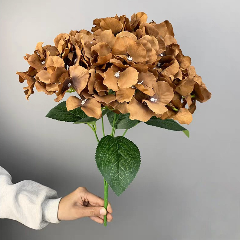 Jual 1Tangkai 5 Kuntum Hydrangea Artificial Jumbo Coklat Tua Gelap Tren ...