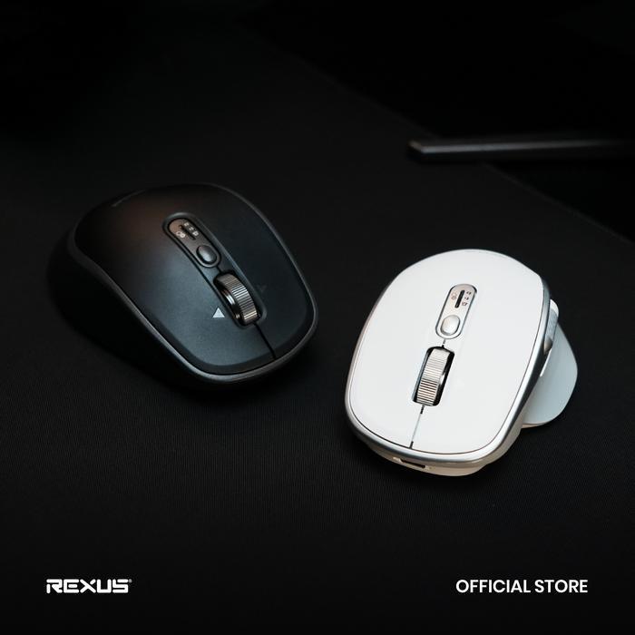 Jual Rexus Flow QZ20 Mouse Office Wireless Ergonomic Silent Click ...