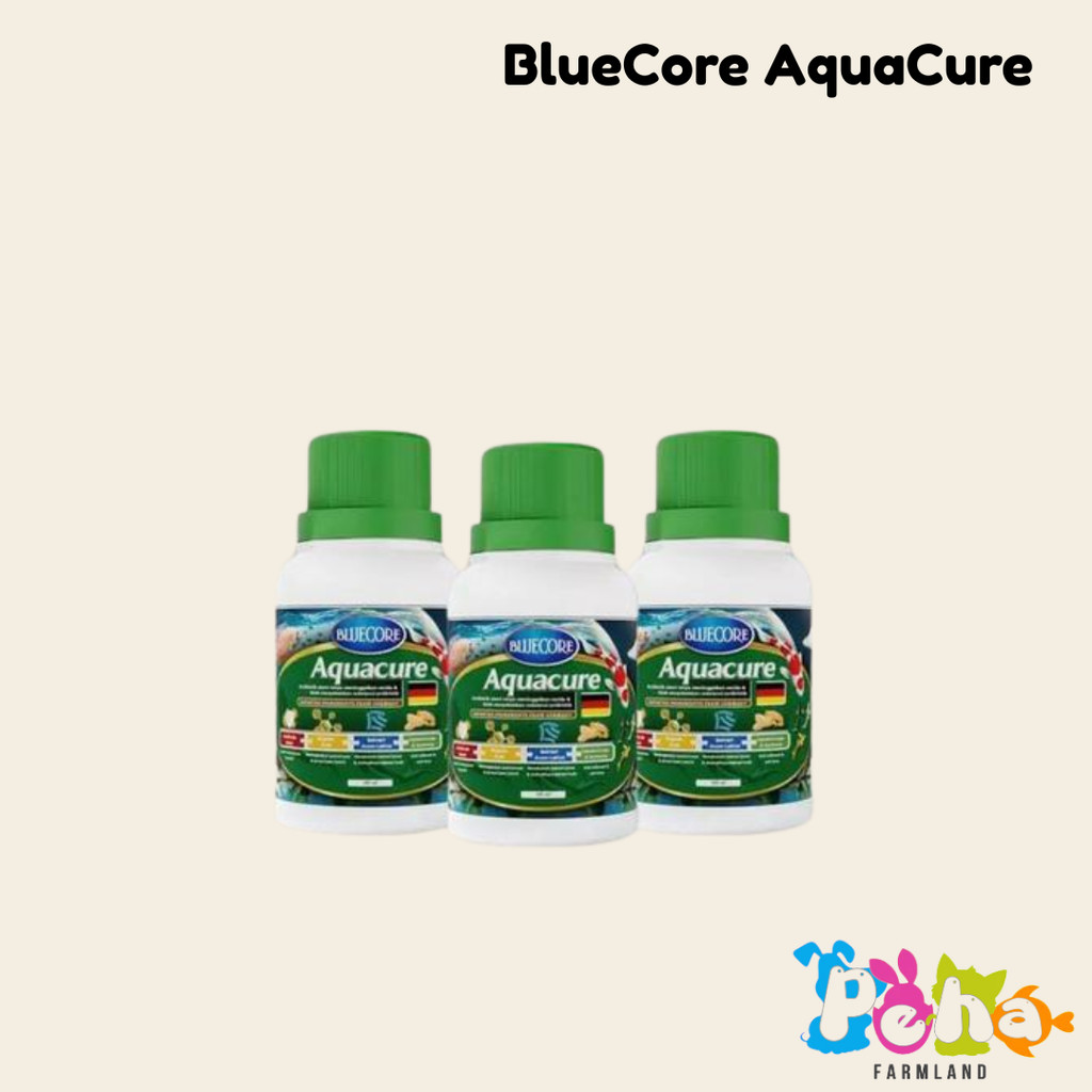 Jual BlueCore AquaCure Antibiotik Alami Ikan | Shopee Indonesia