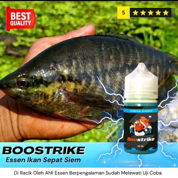 Jual Boostrike Essen Bostrik Sepat Ikan Siyem Racikan Super Gacor dan ...
