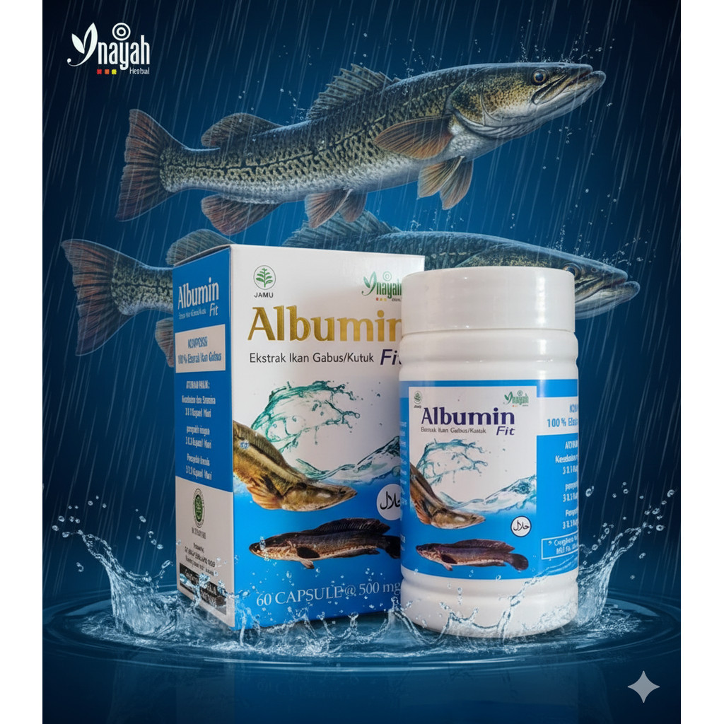 Jual Albumin fit ekstrak Ikan Gabus / Kutuk Inayah isi 60 Kapsul (12 ...
