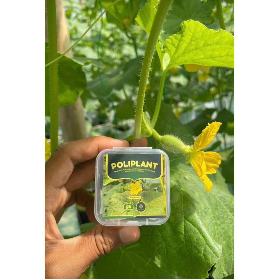 Jual POLIPLANT || Cairan Polinasi Melon & Semangka || Dosis 0.5 & 1 ...