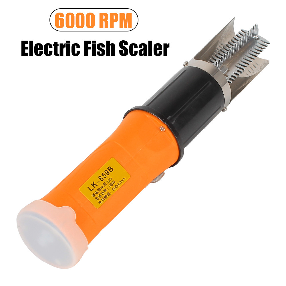 Jual Seafood Tools 6000 RPM Fish Scale Planer Fishing Scalers Scraper ...