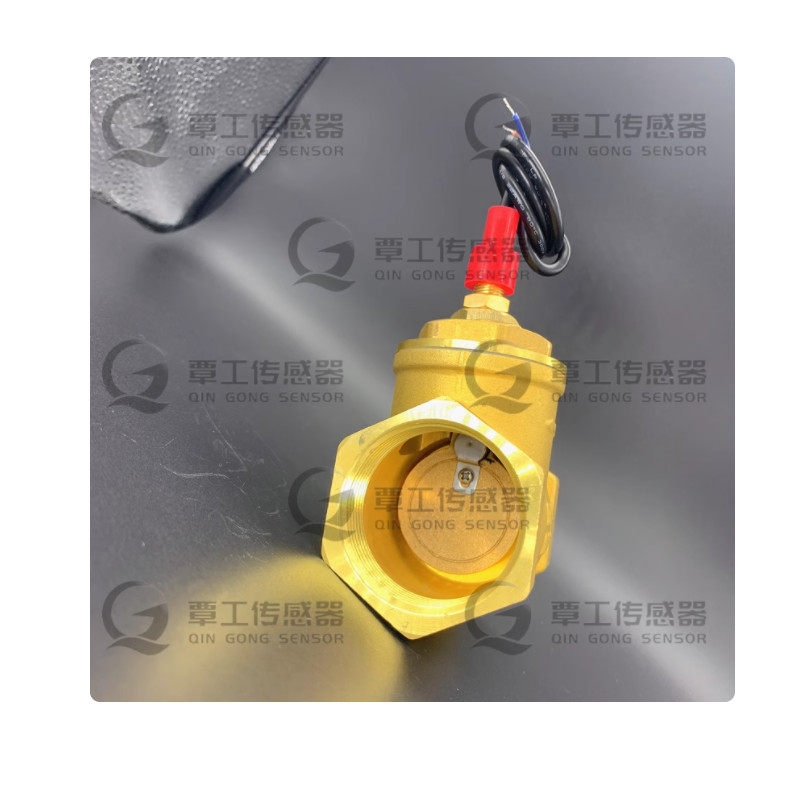 Jual Water Flow Sensor Signal Flow Switch DN40 15 Inch High Temperature ...