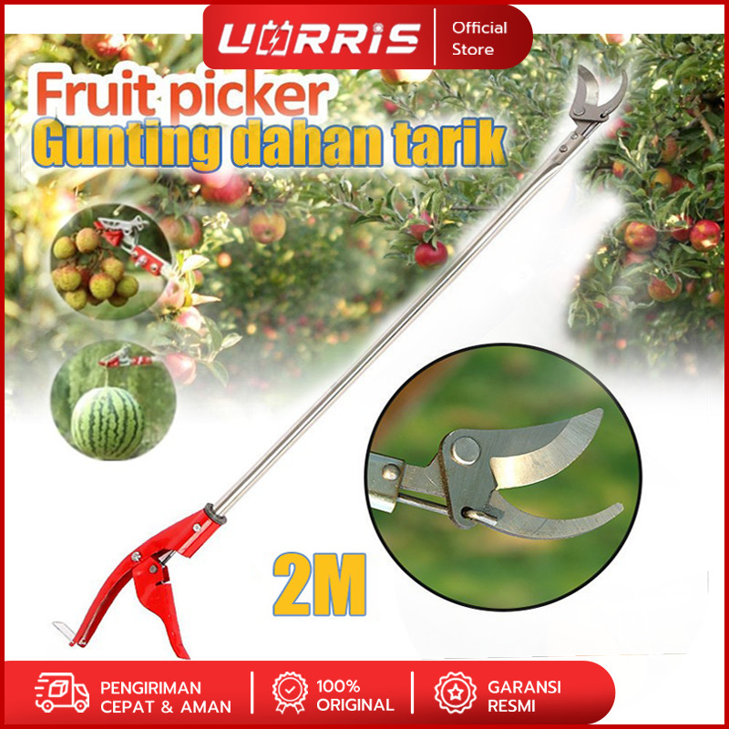 Jual 2M Gunting Cabang Tinggi Diperpanjang Baja Tahan Karat Gunting Taman Hijau Gunting ...
