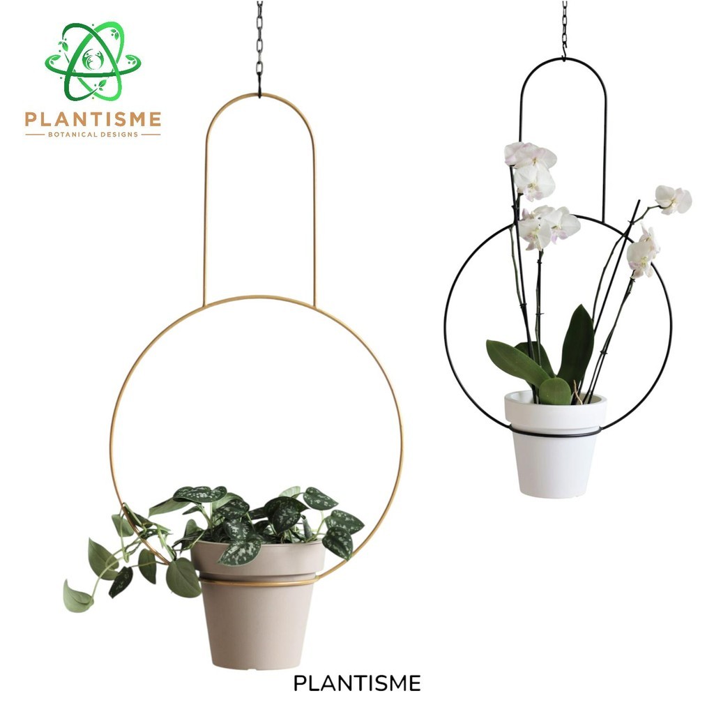 Jual Rak Tanaman - Geo Loop Hanging Planter Rak Gantung Besi Bulat ...