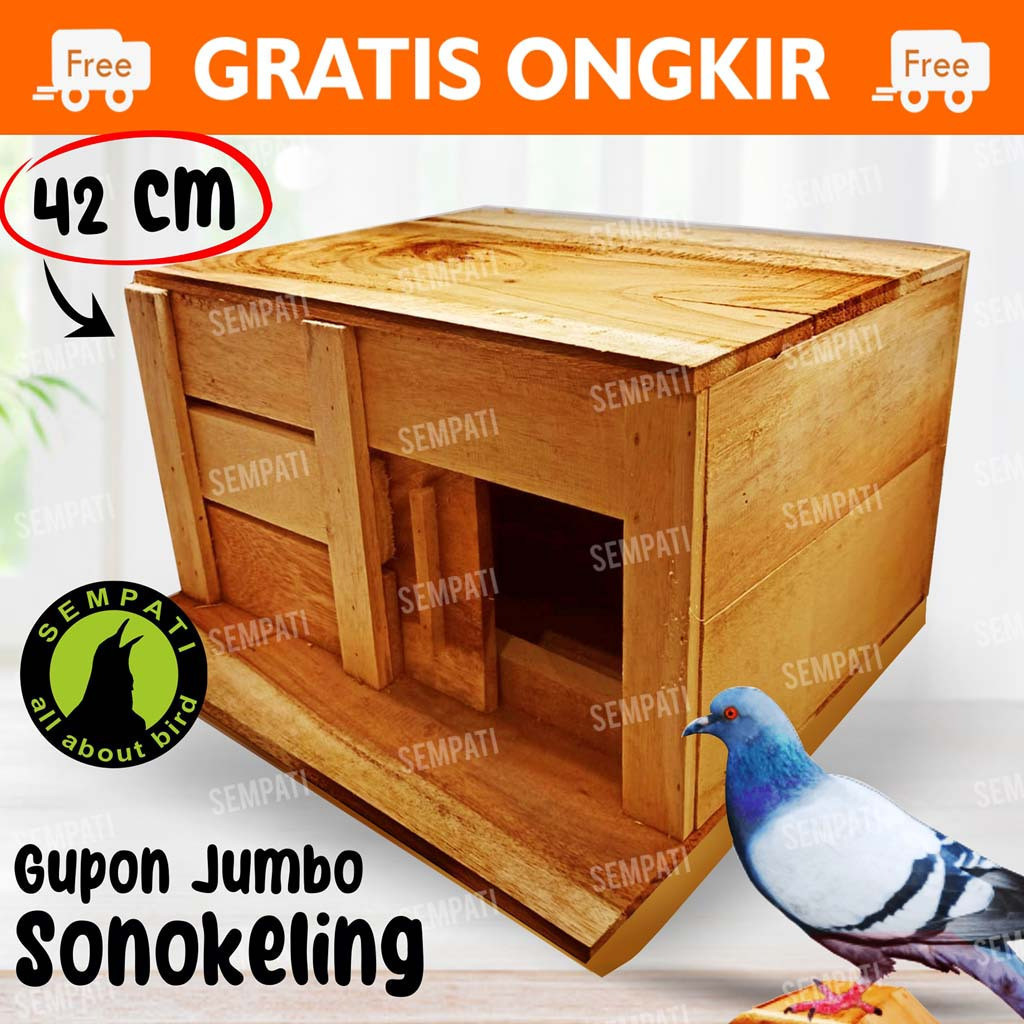 Jual SEMPATI KANDANG TONG GUPON PAGUPON BURUNG MERPATI DORO DARA ...