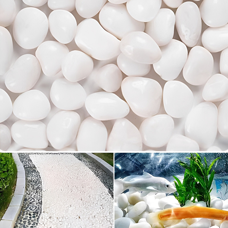 Jual 2~3cm White Pebbles 200/400/600/800g Landscape Design and Road ...