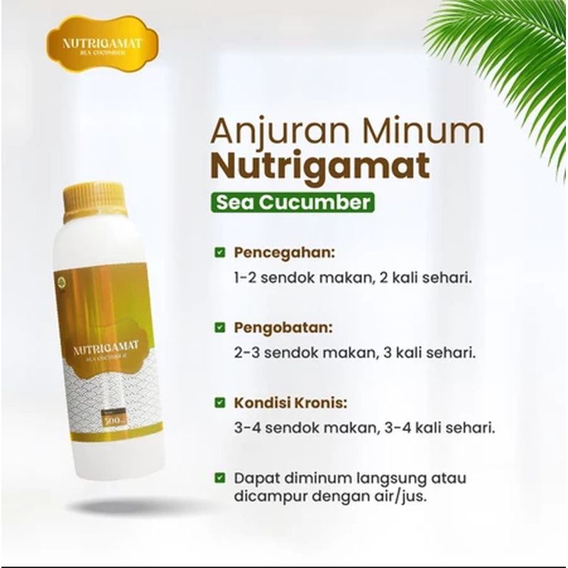 Jual Nutri Gamat 500ml | Shopee Indonesia
