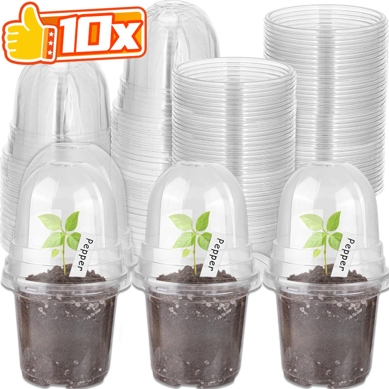 Jual 10/5pcs Seedling Nursery Pots Seed Starting Grow Nutrition Cup ...