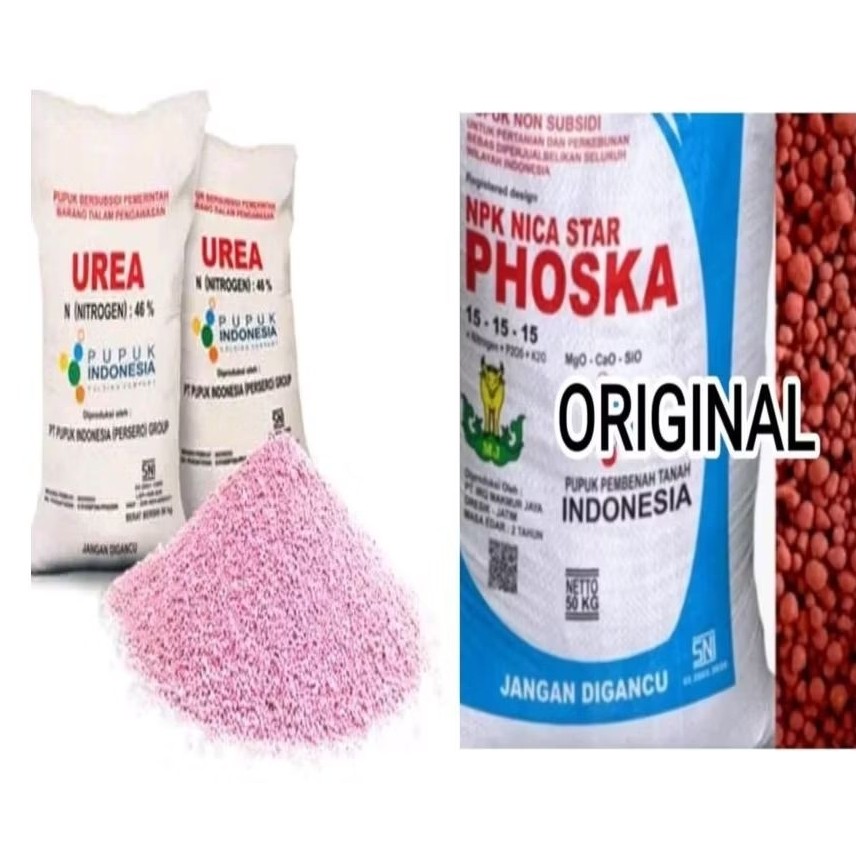 Jual PUPUK NPK PHOSKA dan PUPUK UREA PAKET HEMAT 10 KG - 25 KG (Ball ...