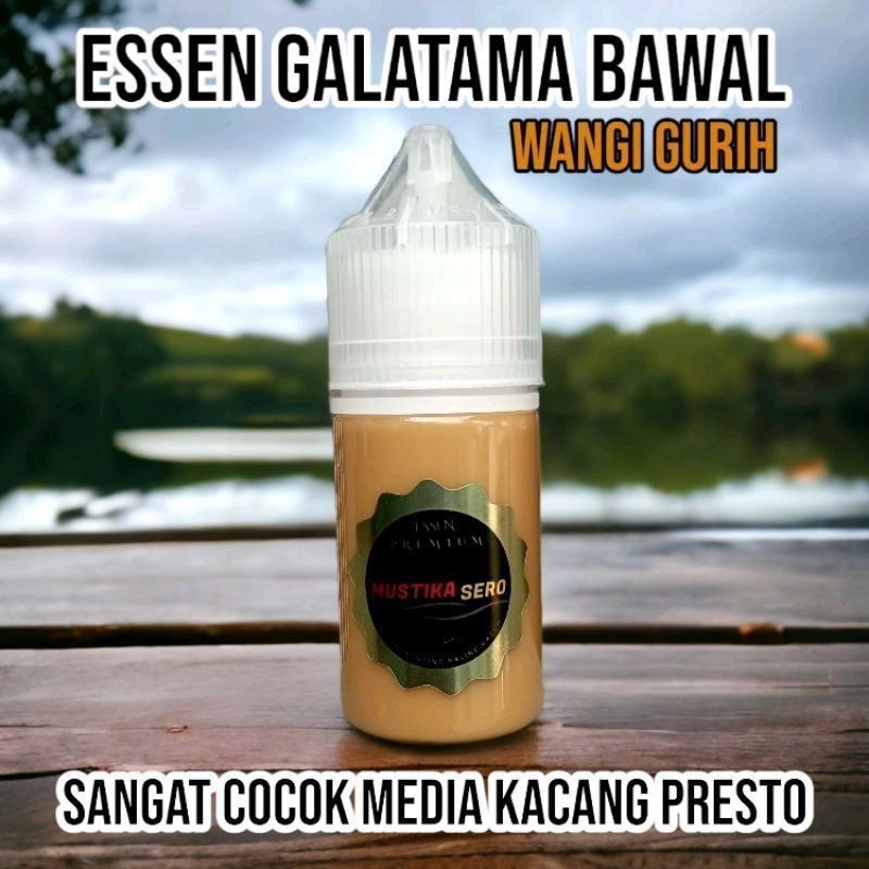 Jual GALATAMA BAWAL Essen Pancing Media Kacang Presto - KODE CPKW ...