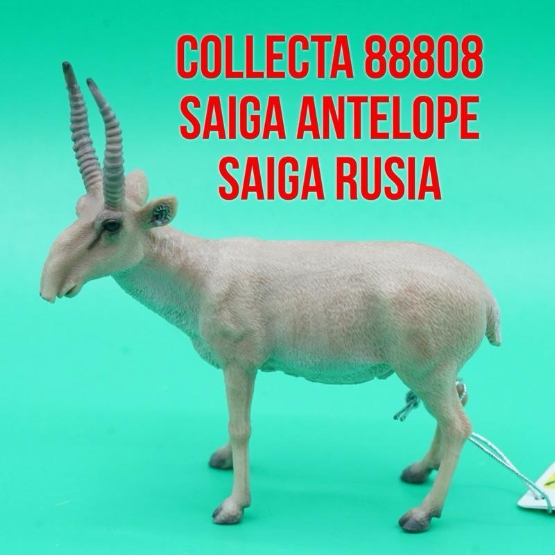 Jual Collecta 88808 Saiga Antelope Antilop Saiga Rusia Antelop Gurun ...