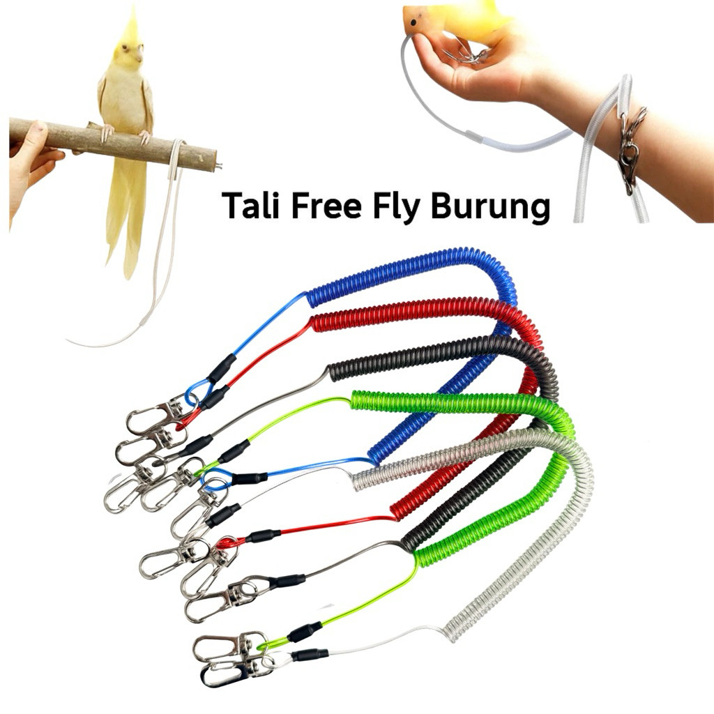 Jual TALI KAKI BURUNG FREE FLY BURUNG DAPAT DI TARIK HINGGA 3 METER ...